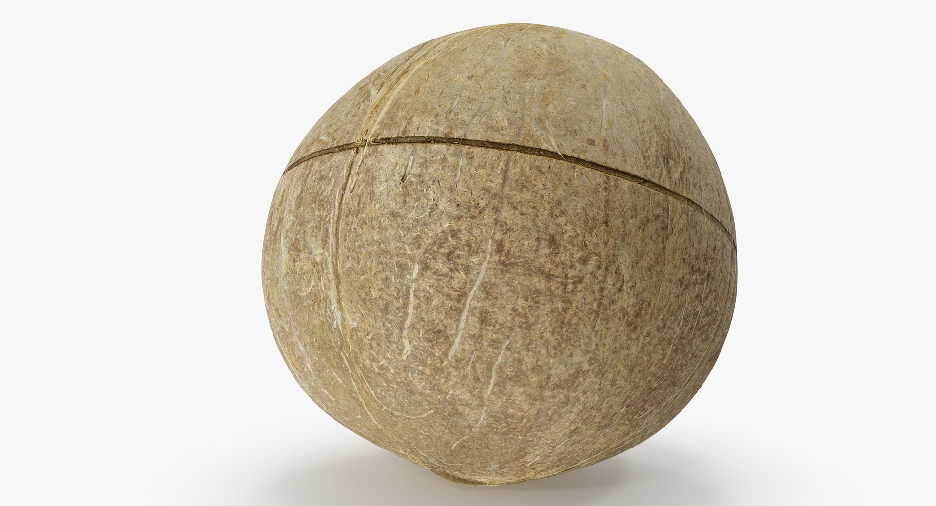 3D Coconut 01 Polys Model - TurboSquid 1433980