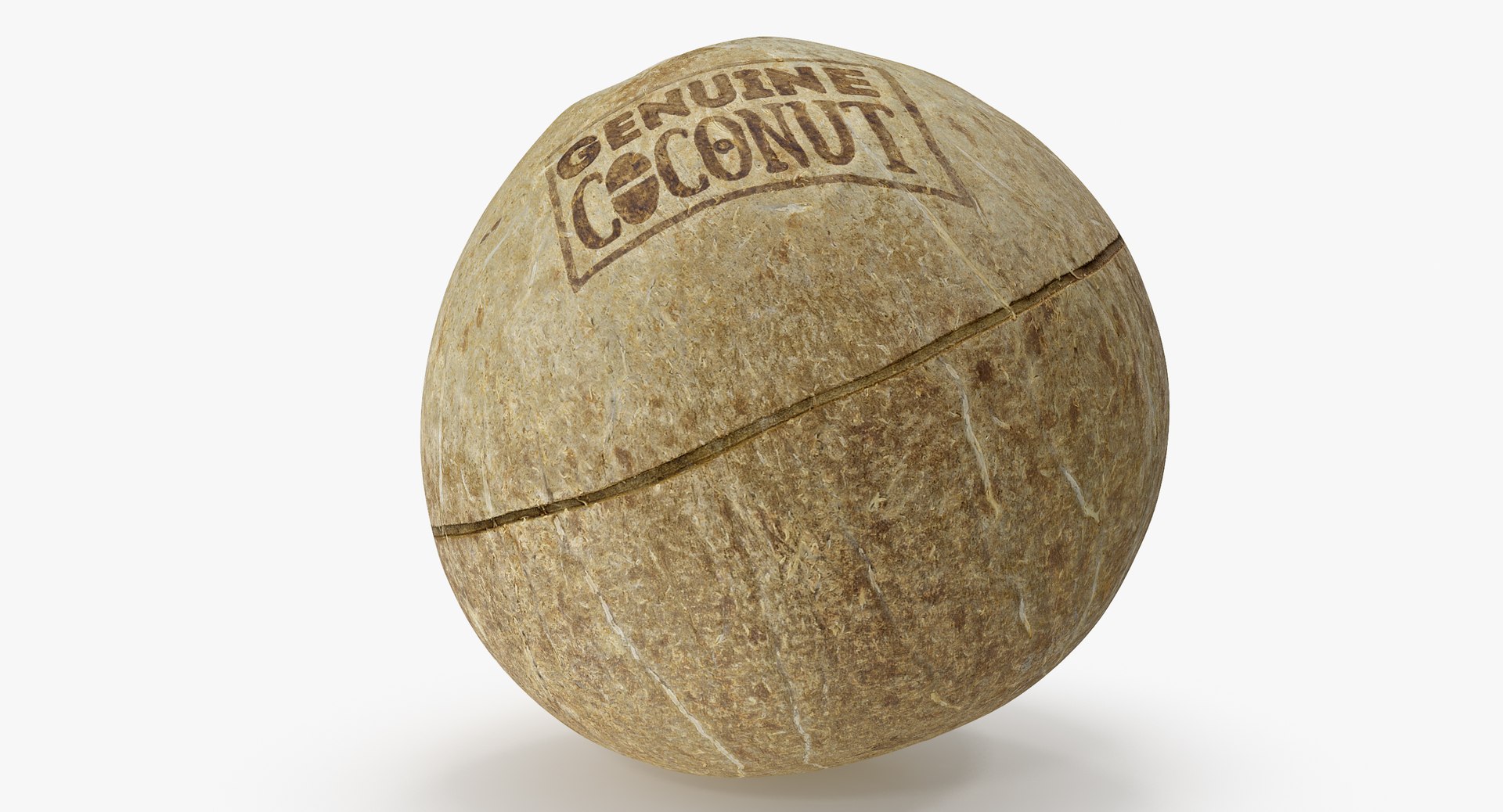 3D Coconut 01 Polys Model - TurboSquid 1433980