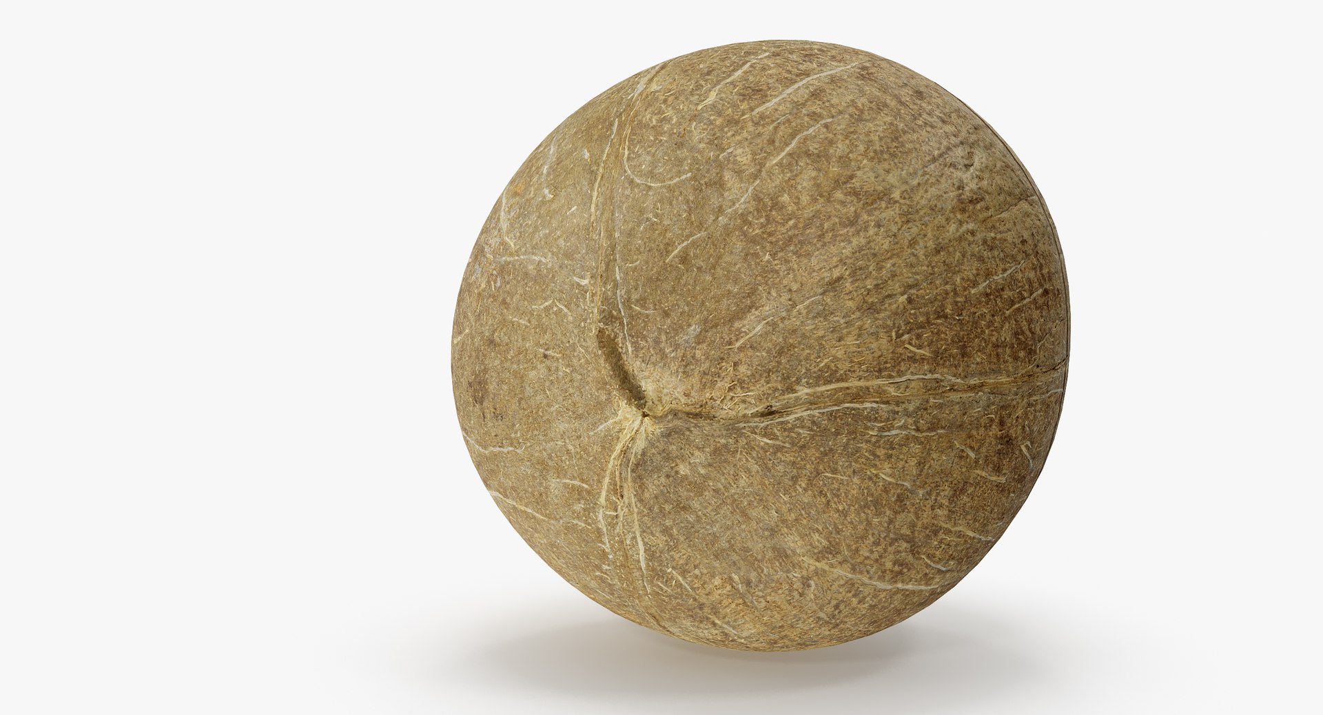 3D Coconut 01 Polys Model - TurboSquid 1433980