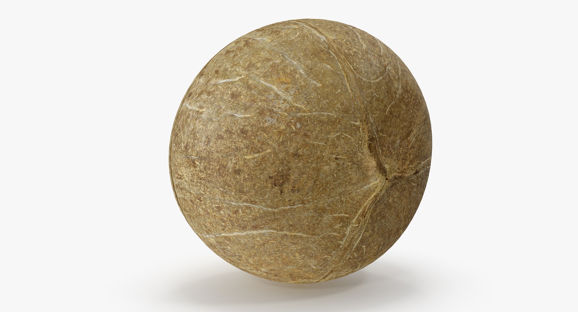 3D Coconut 01 Polys Model - TurboSquid 1433980