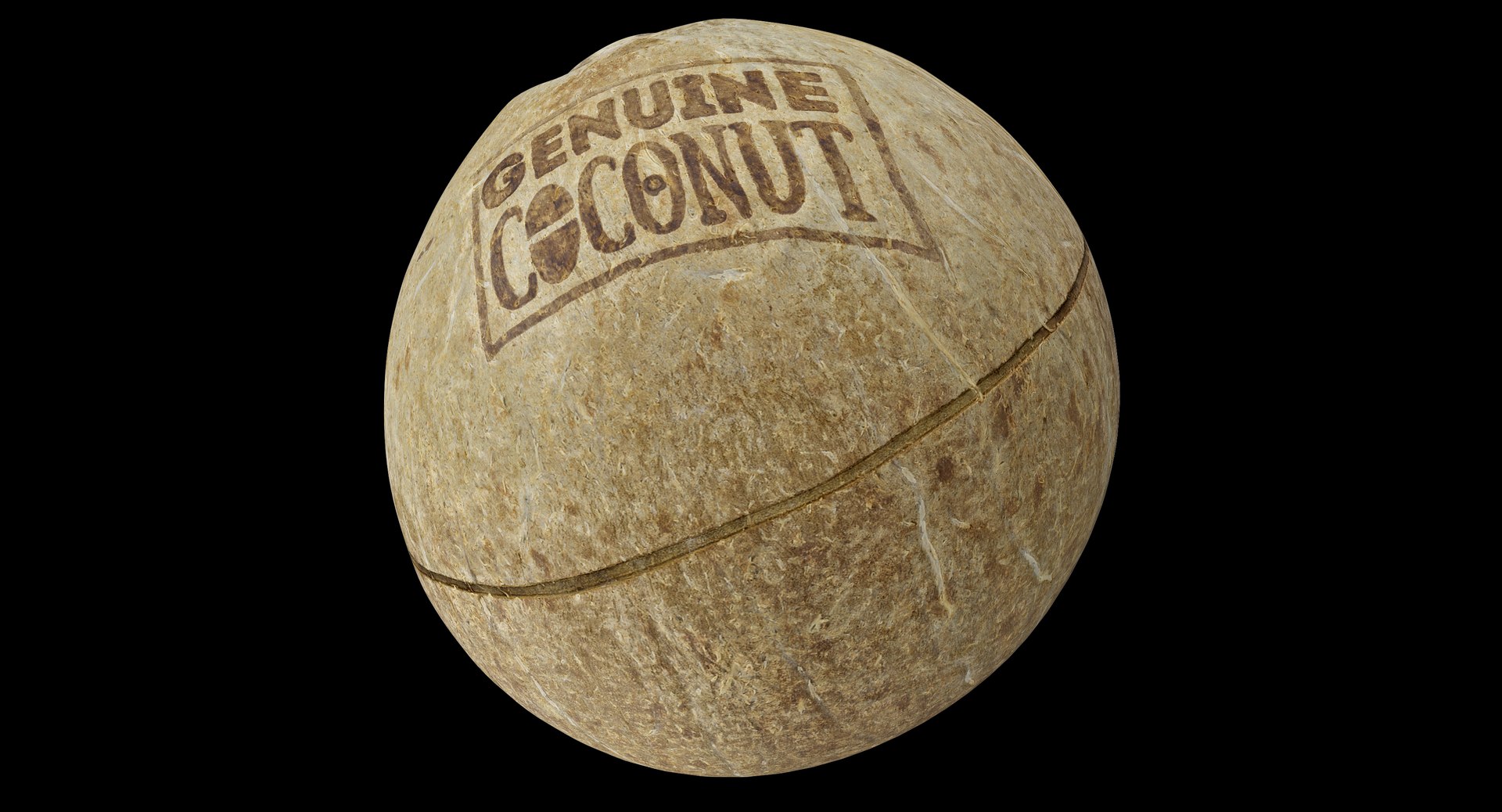 3D coconut 01 polys model - TurboSquid 1433980