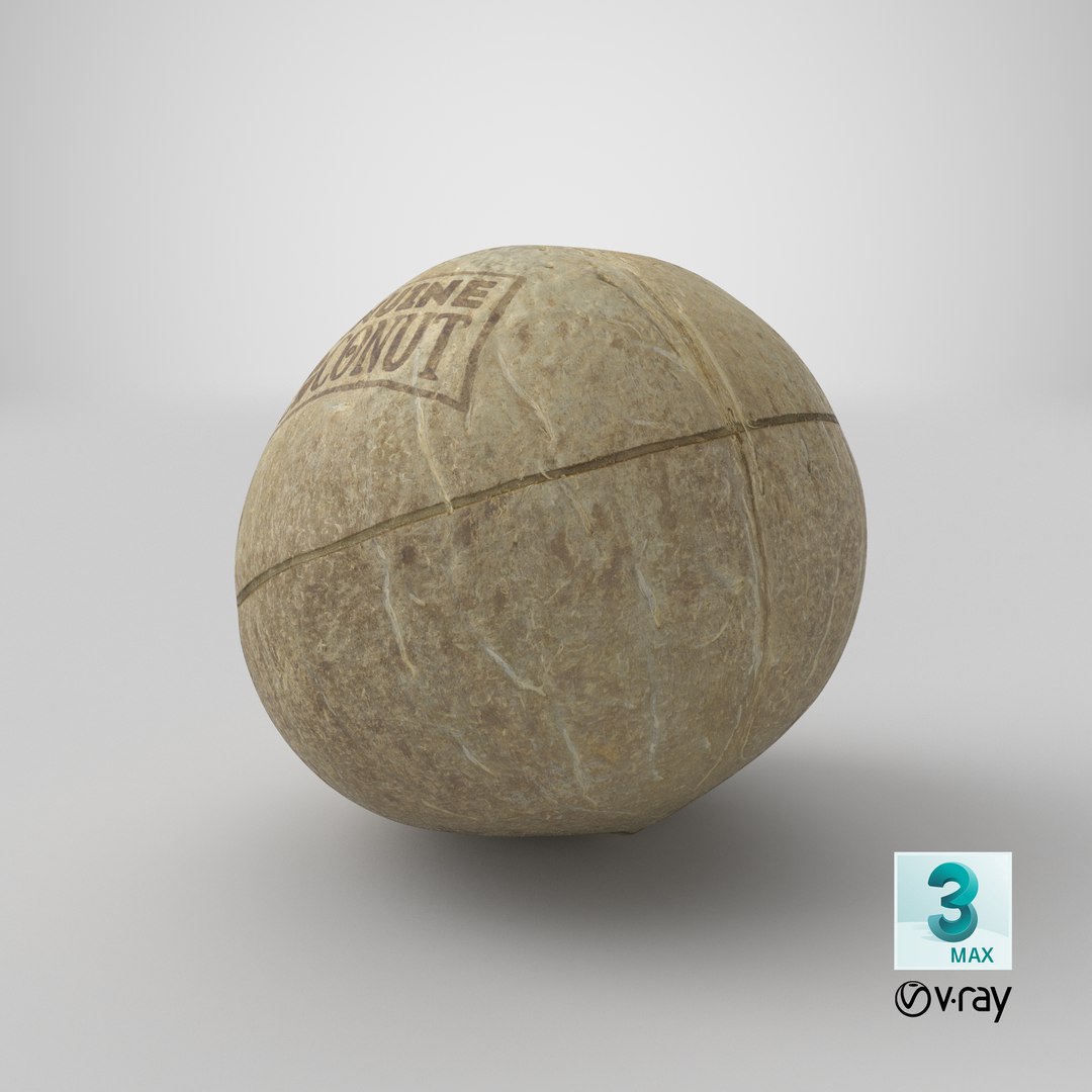3D coconut 01 polys model - TurboSquid 1433980
