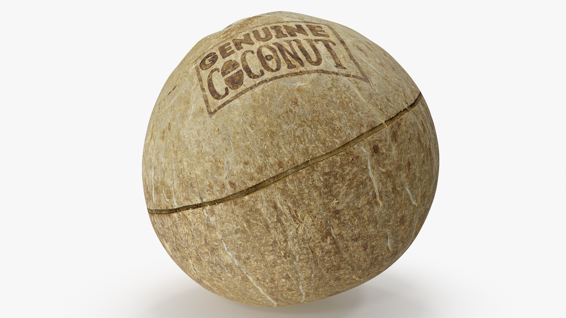 3D Coconut 01 Polys Model - TurboSquid 1433980