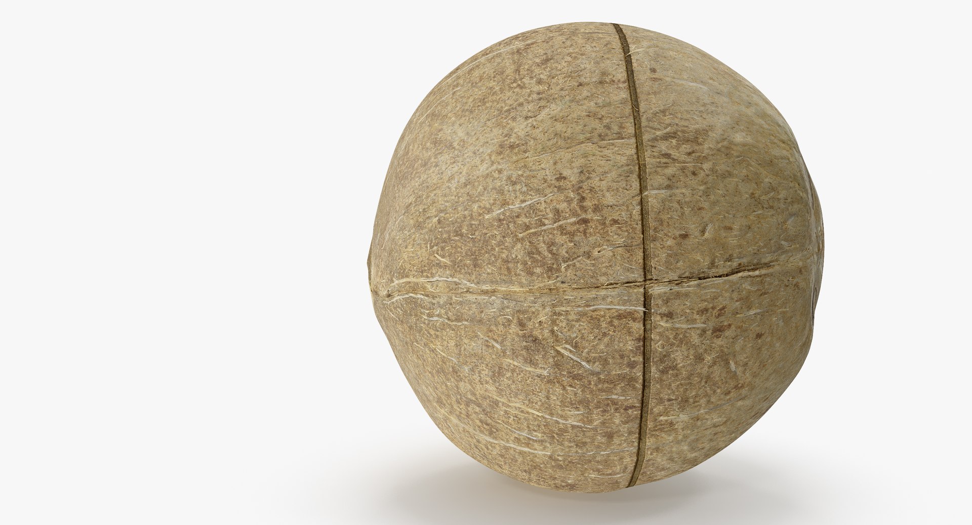 3D Coconut 01 Polys Model - TurboSquid 1433980