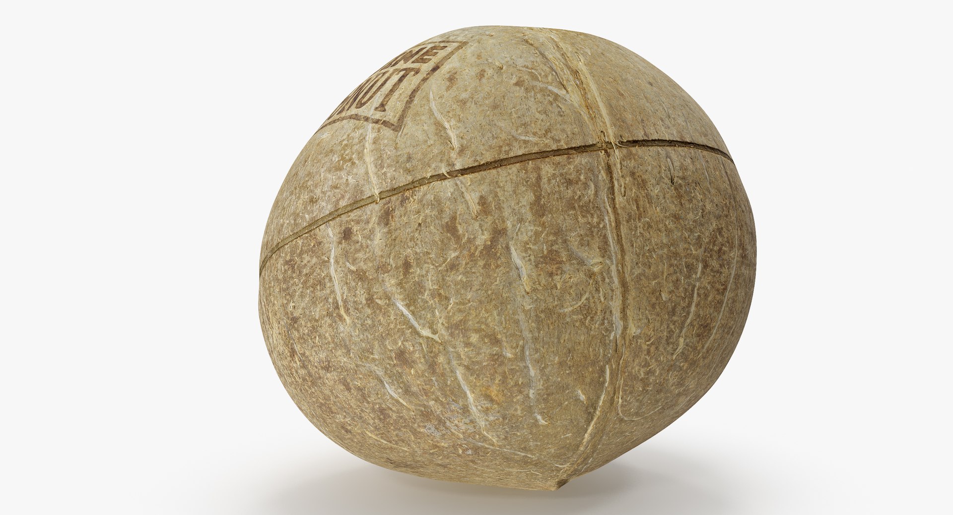 3D Coconut 01 Polys Model - TurboSquid 1433980