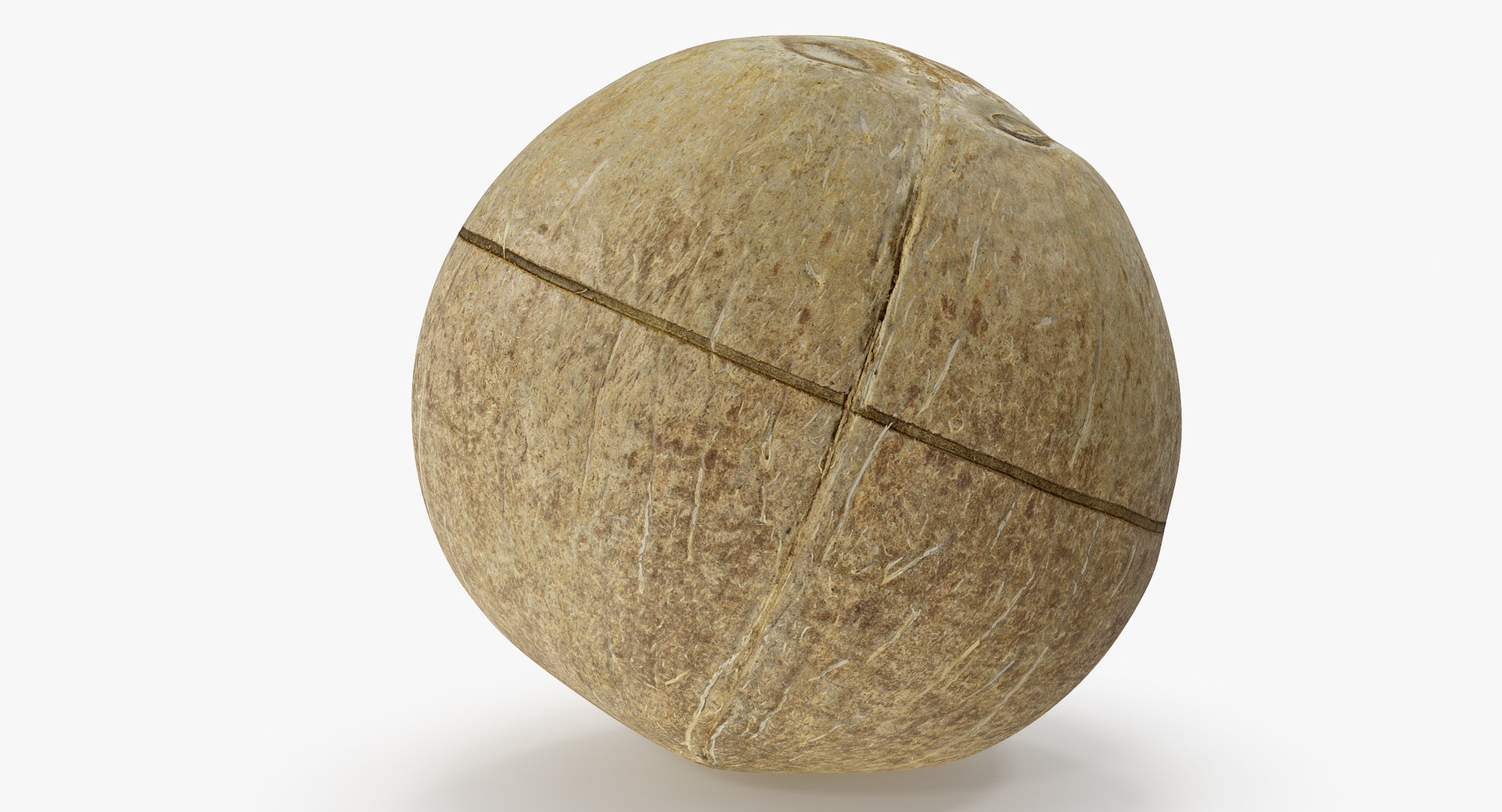 3D Coconut 01 Polys Model - TurboSquid 1433980