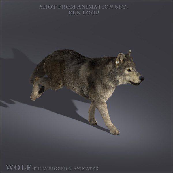 fur animation wolf 3d model