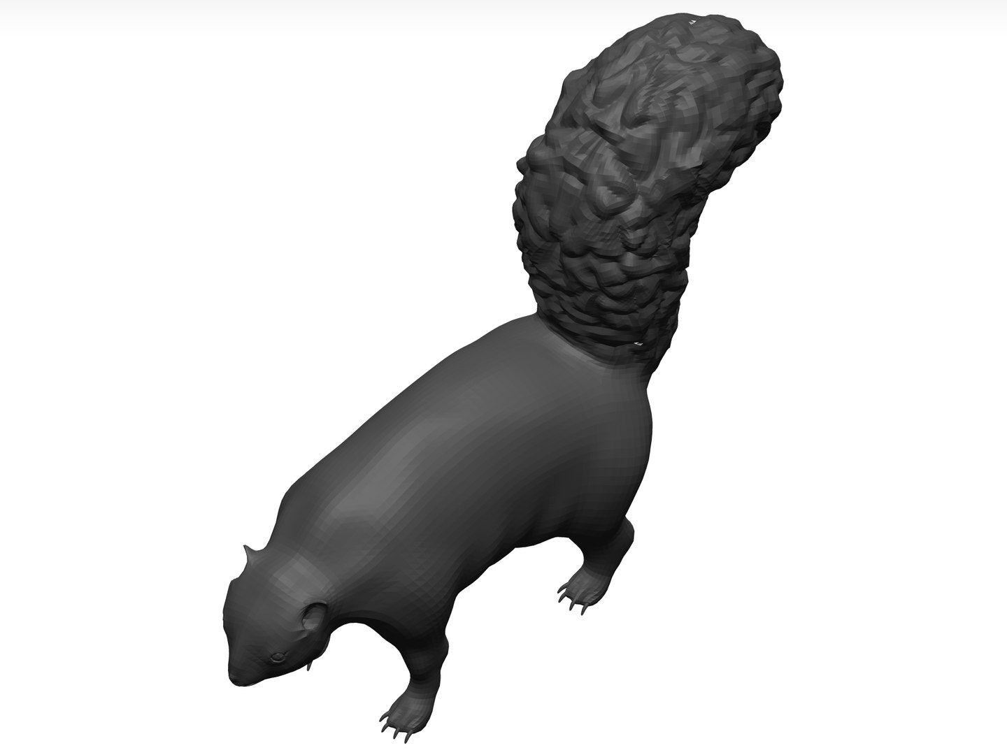 3D model Skunk Stl - TurboSquid 1774295