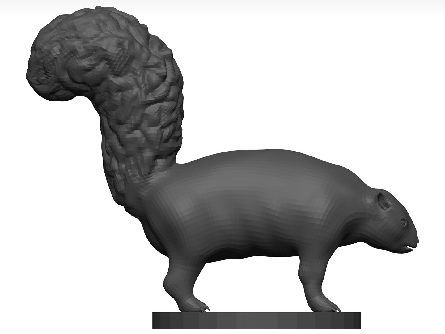 3D model Skunk Stl - TurboSquid 1774295