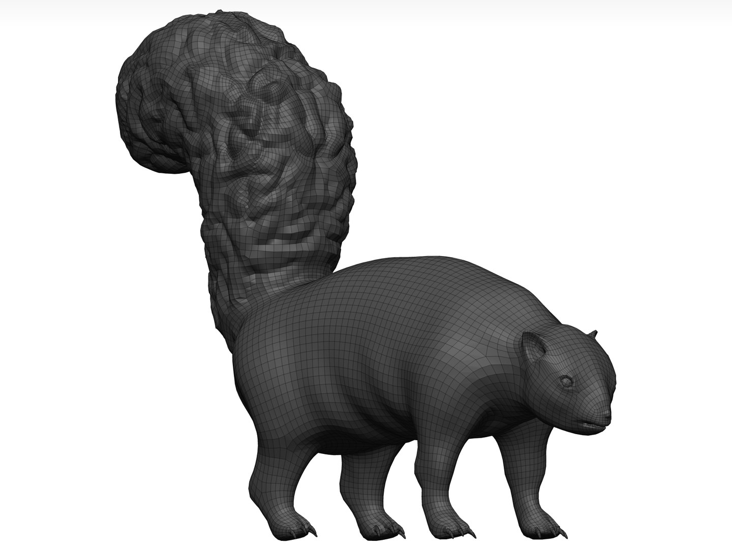 3D model Skunk Stl - TurboSquid 1774295
