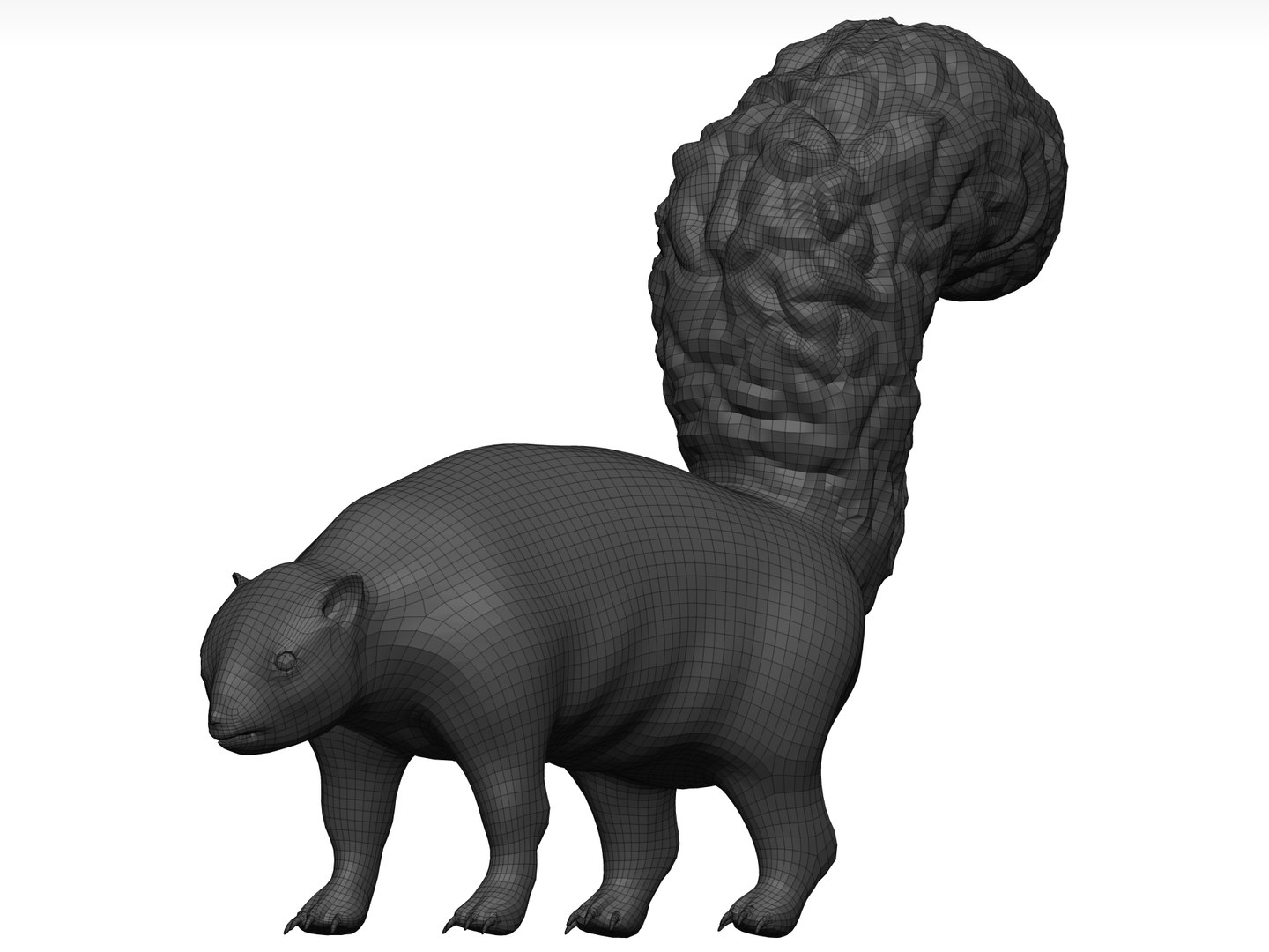 3D model Skunk Stl - TurboSquid 1774295