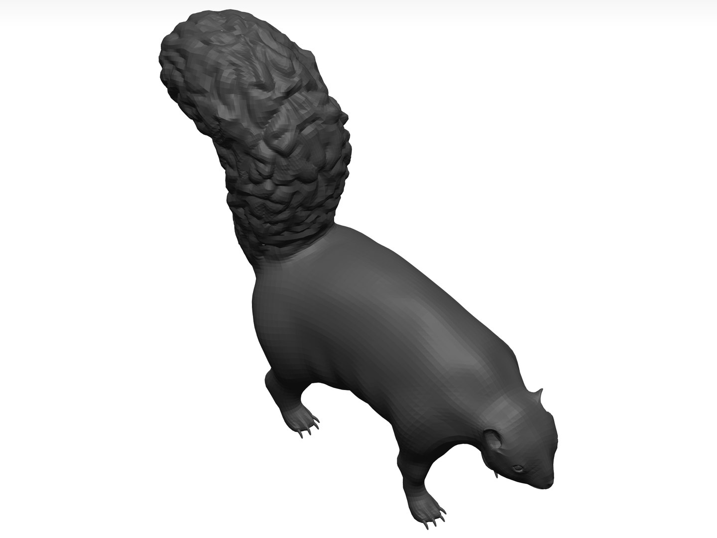 3D model Skunk Stl - TurboSquid 1774295