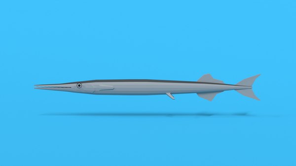 3D Low Poly Cartoon Garfish - TurboSquid 1723169