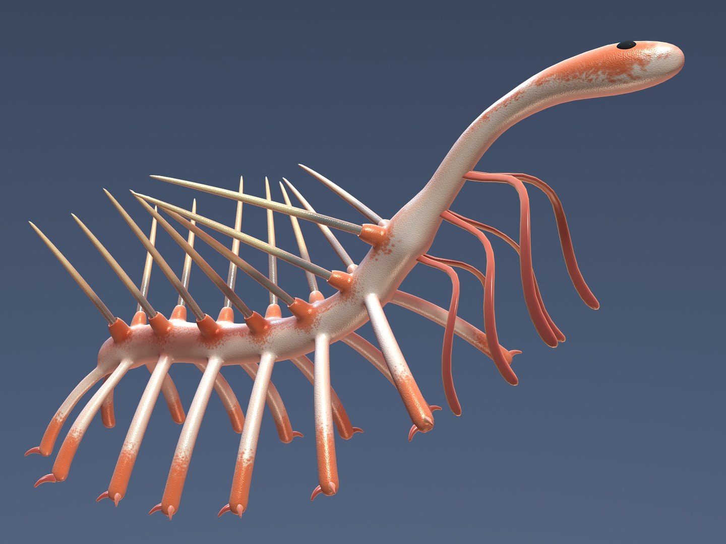 Hallucigenia