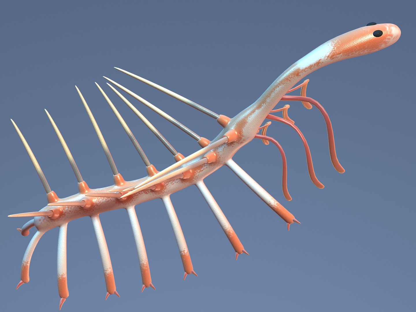 3d Model Hallucigenia Cambrian Fossils