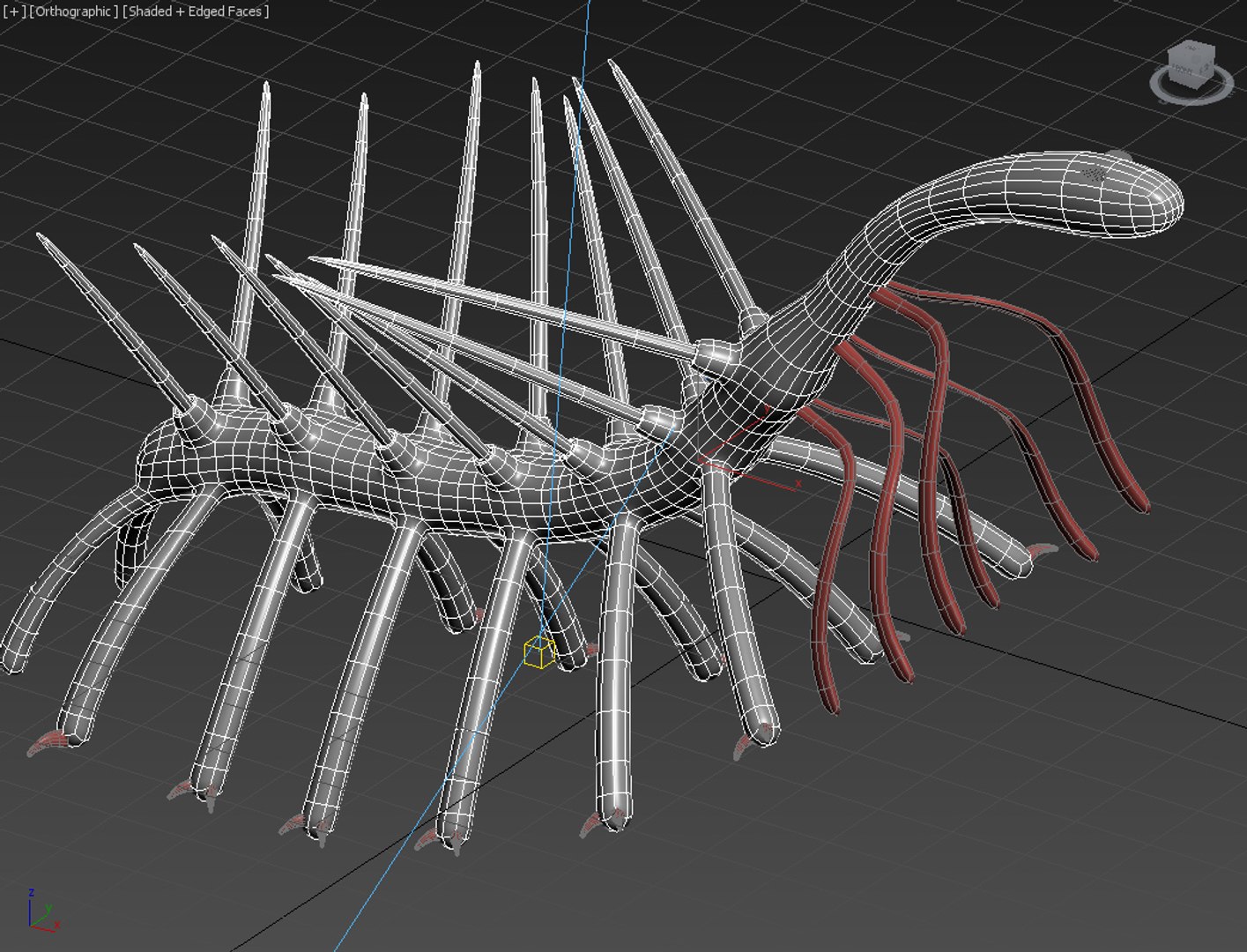 3d Model Hallucigenia Cambrian Fossils