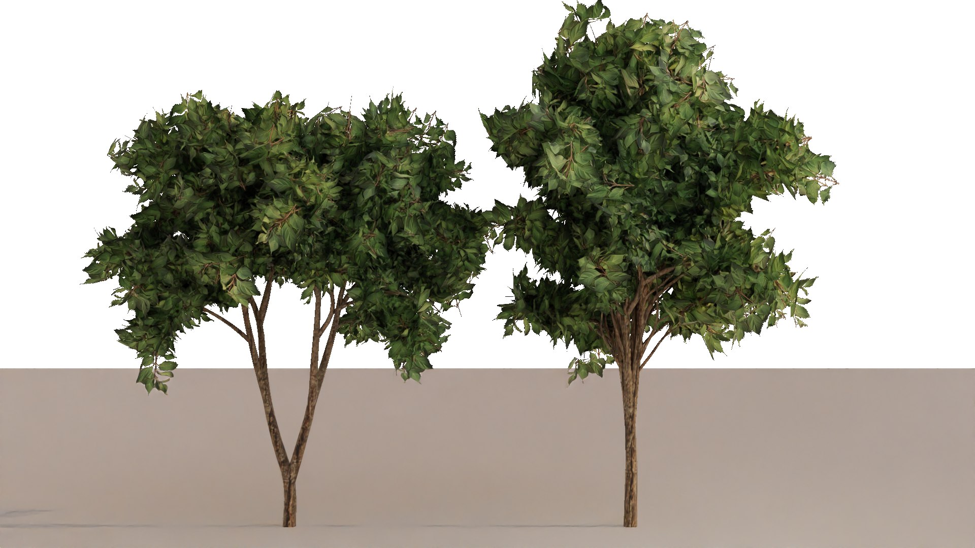 3D Trees - TurboSquid 2031048