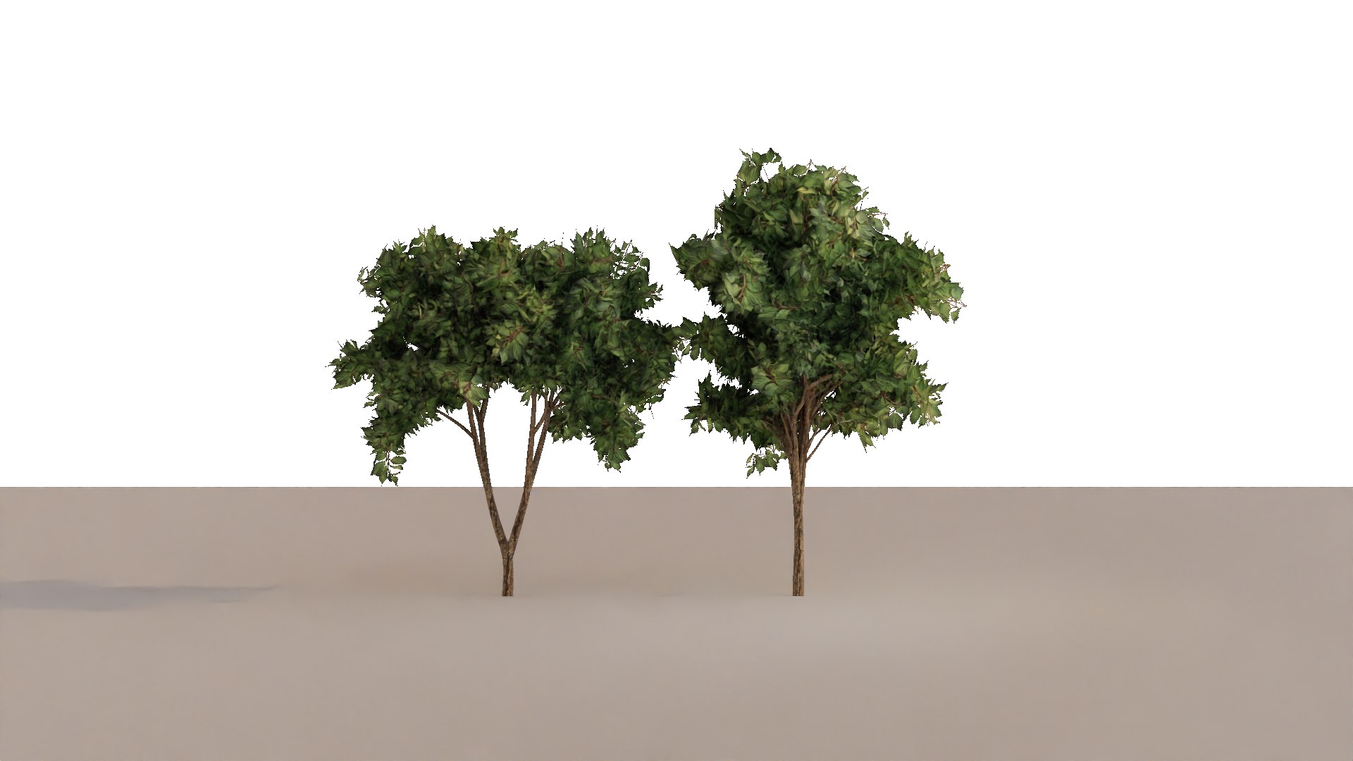 3D Trees - TurboSquid 2031048