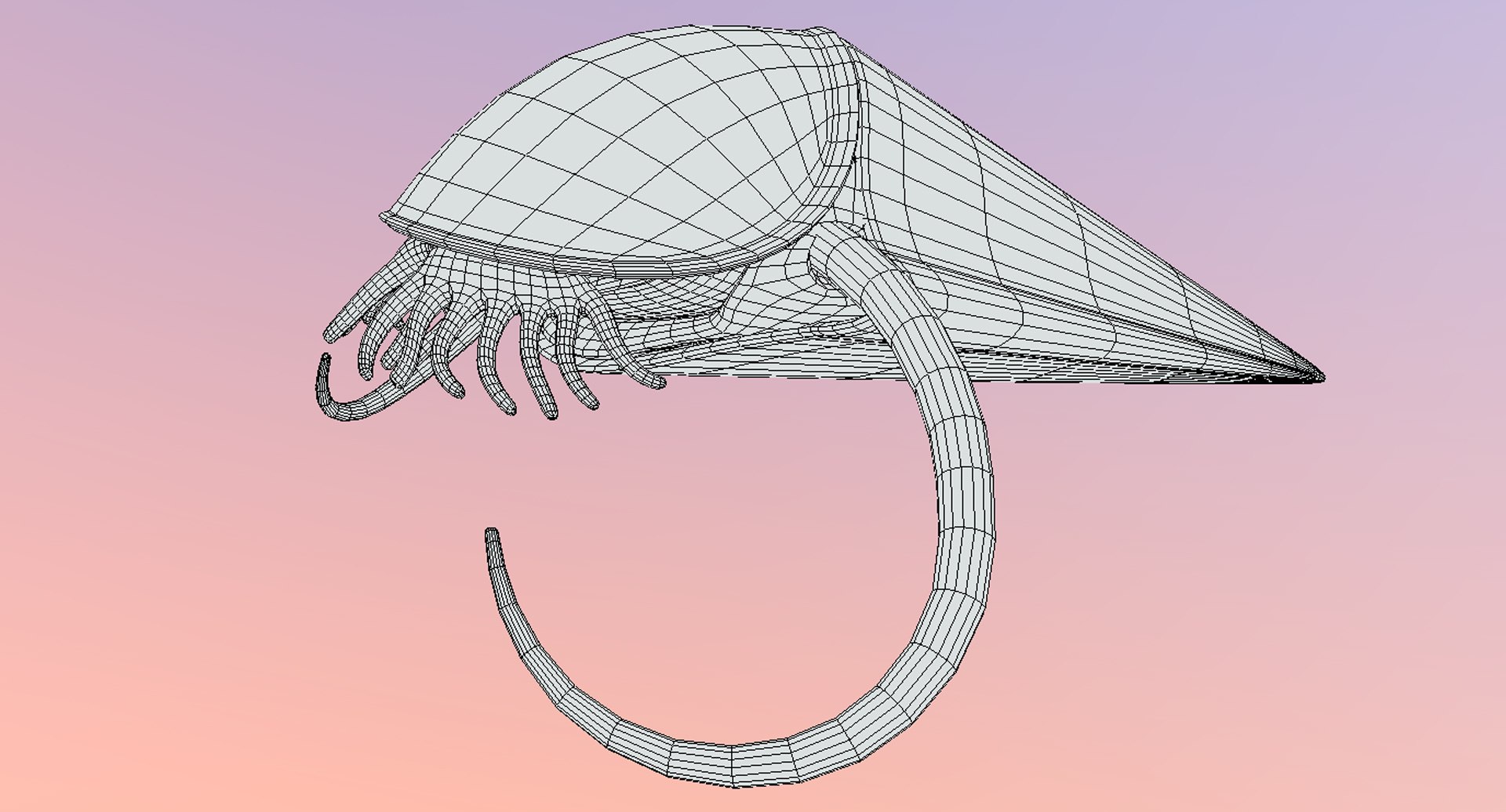 Hyolitha 3D - TurboSquid 1579794