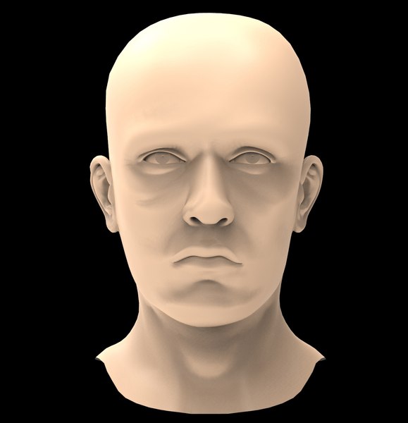3d model man head