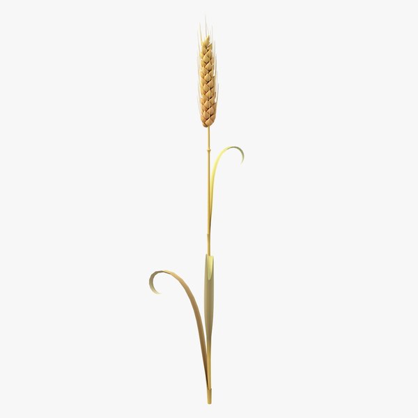 modelo 3d Cartoon Wheat Spikelet 03 - TurboSquid 2050585