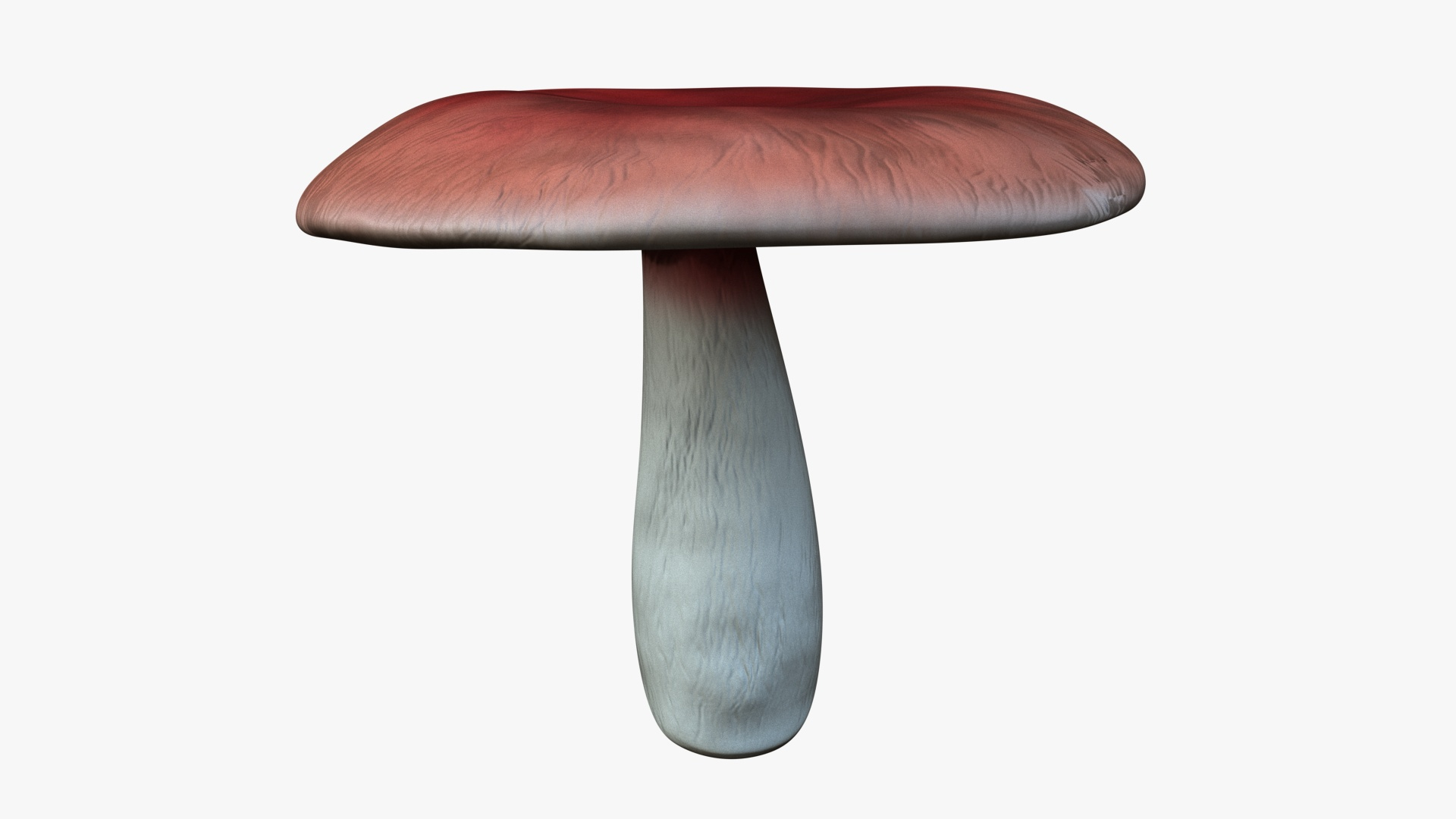 Russula 3D - TurboSquid 1957907