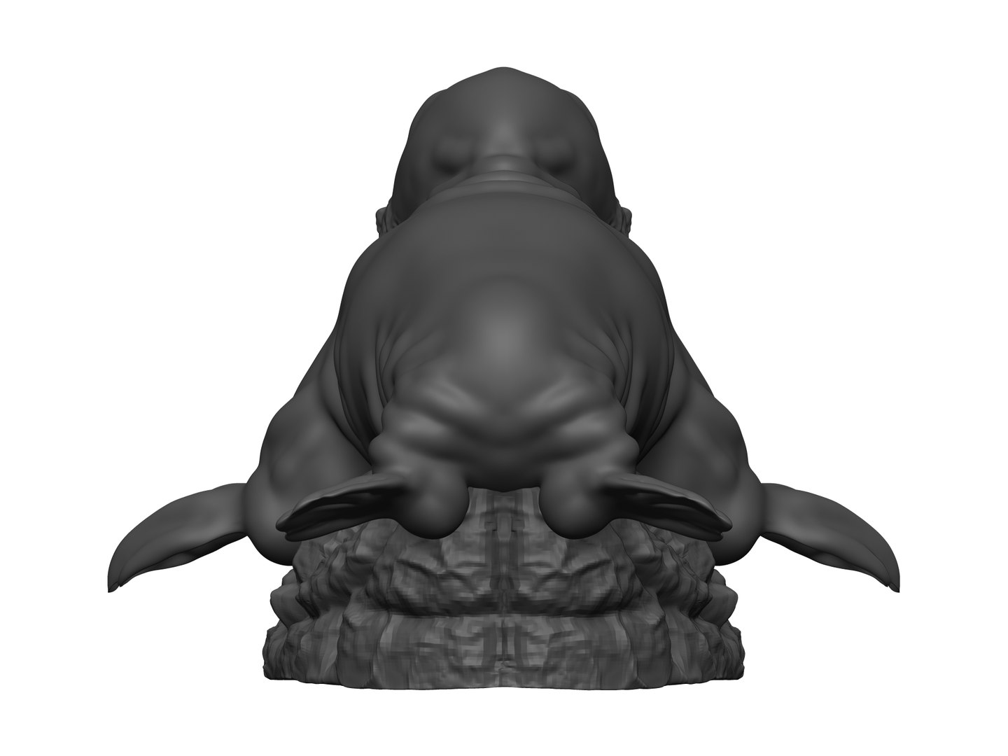 Realistic Walrus 3D model - TurboSquid 1874652