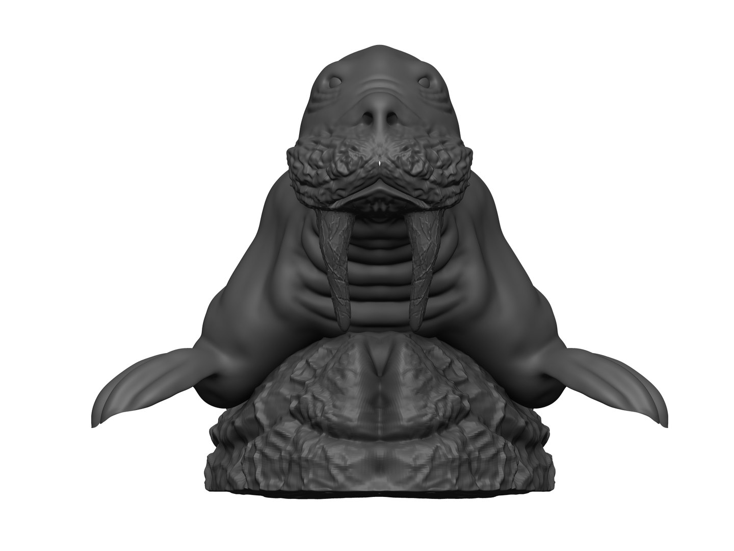 Realistic Walrus 3D model - TurboSquid 1874652