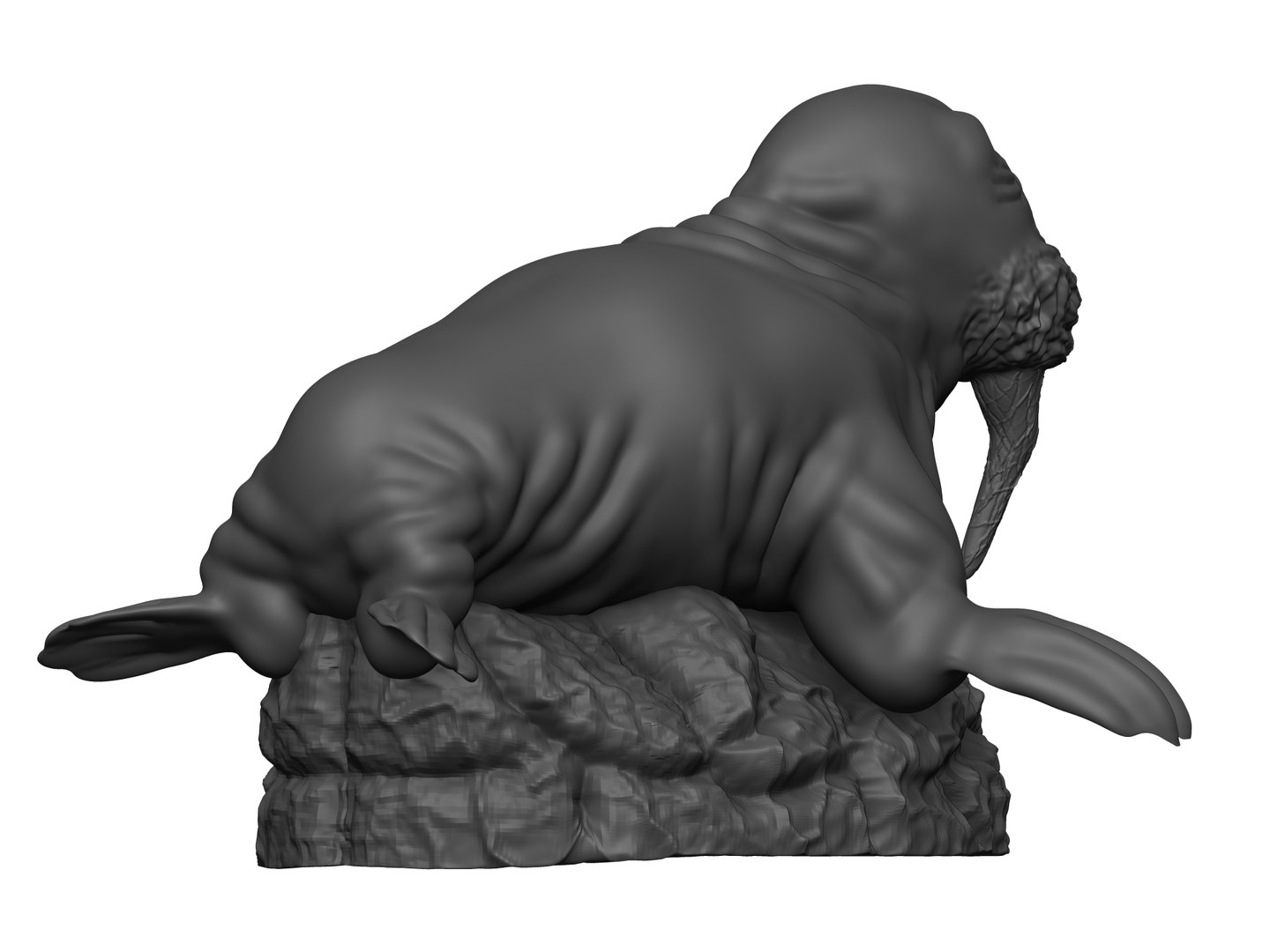 Realistic Walrus 3D model - TurboSquid 1874652