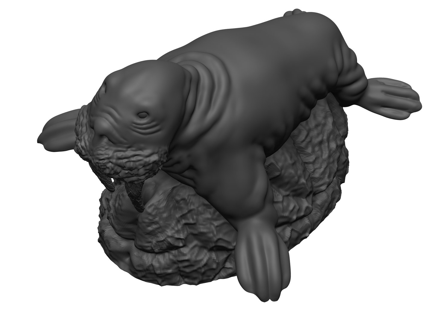 Realistic Walrus 3D model - TurboSquid 1874652