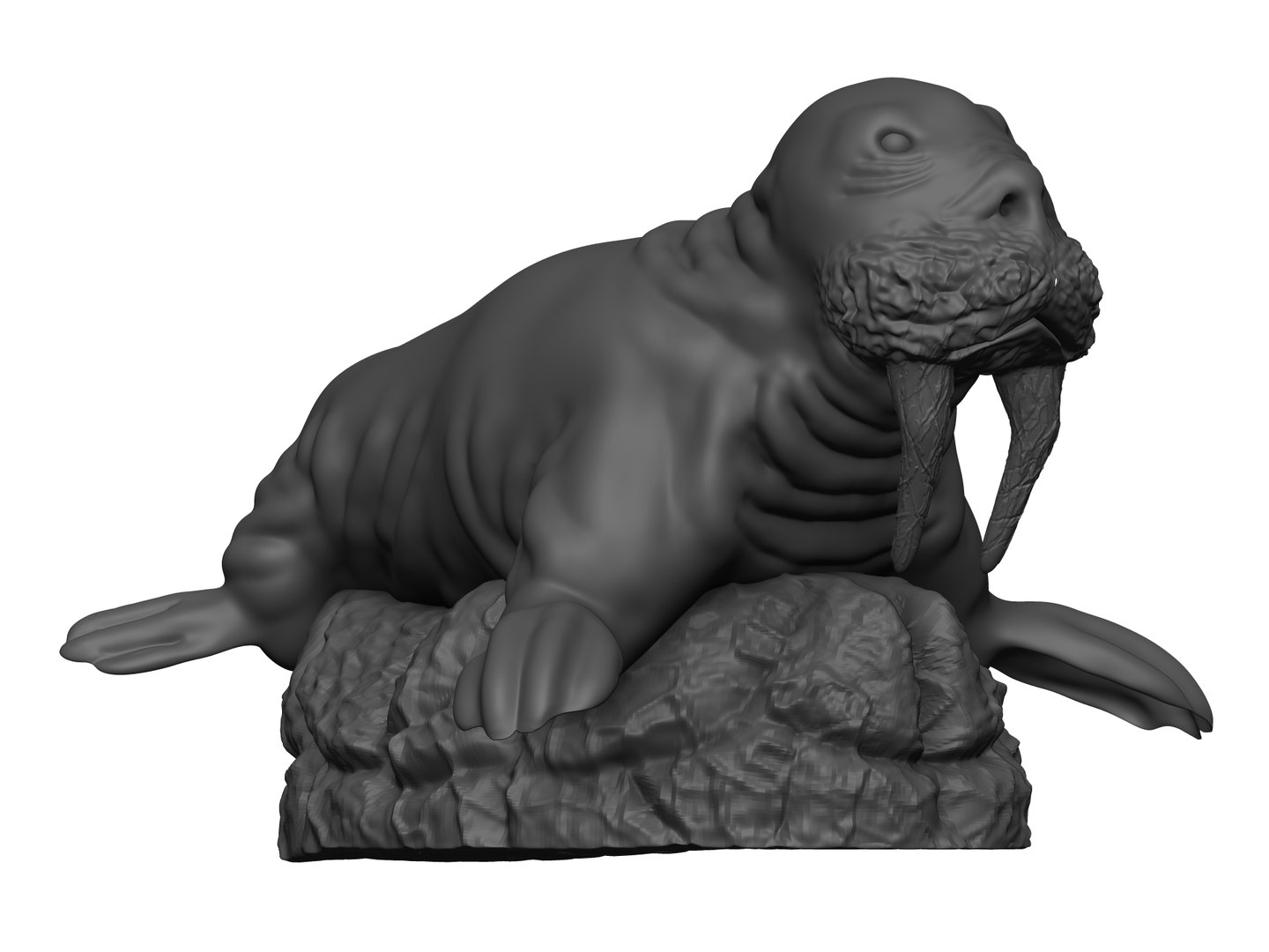 Realistic Walrus 3D model - TurboSquid 1874652