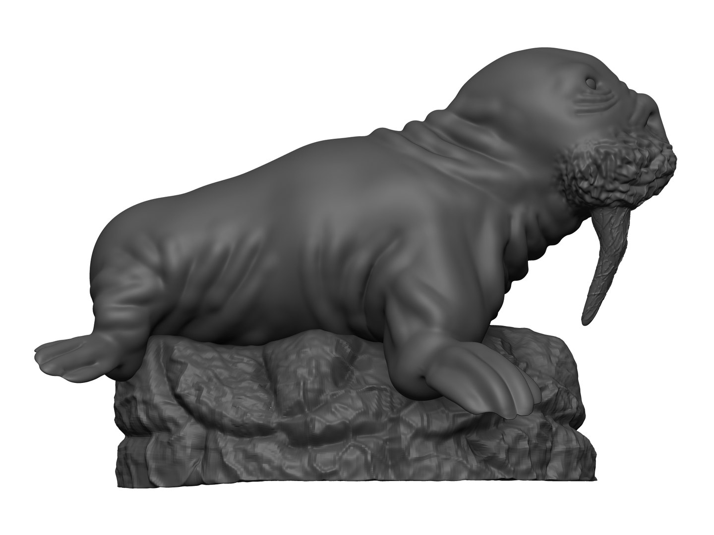 Realistic Walrus 3D model - TurboSquid 1874652