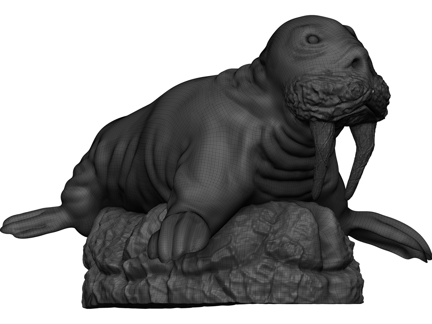 Realistic Walrus 3D model - TurboSquid 1874652