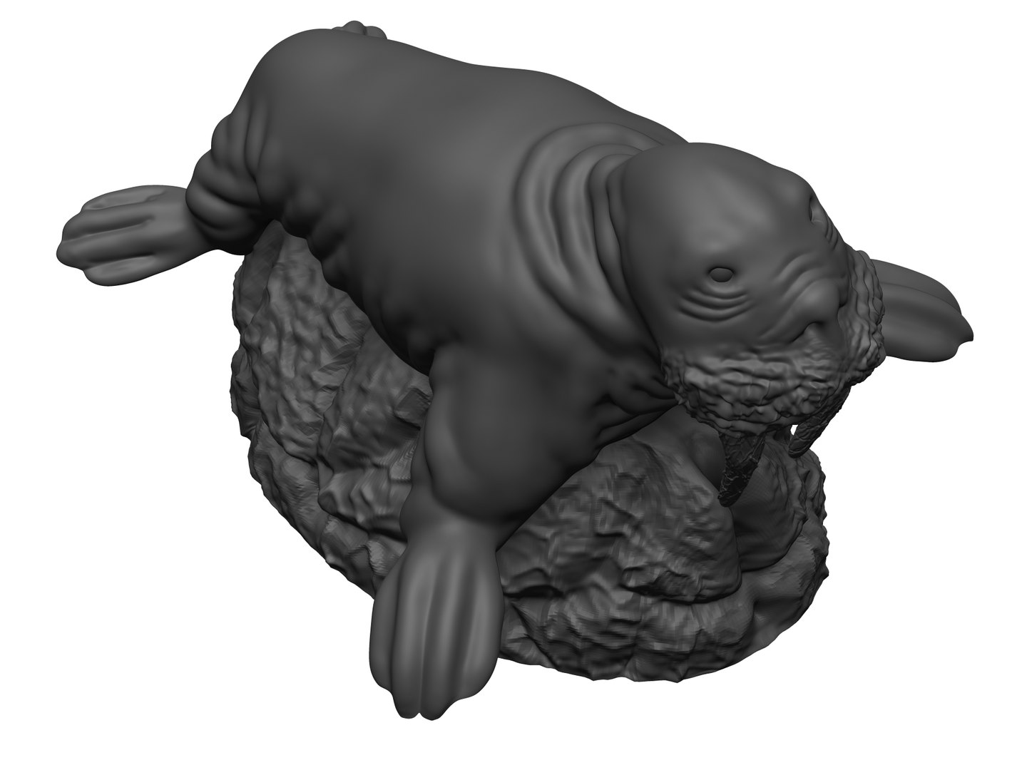 Realistic Walrus 3D model - TurboSquid 1874652