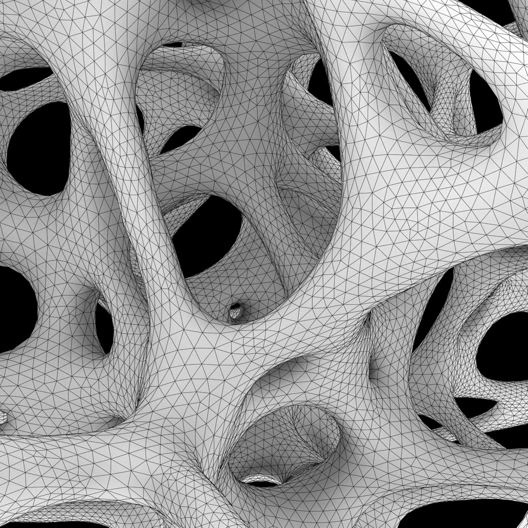 Cube Bone Matrix 3d Model