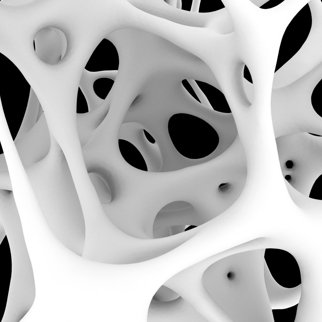 Cube Bone Matrix 3d Model