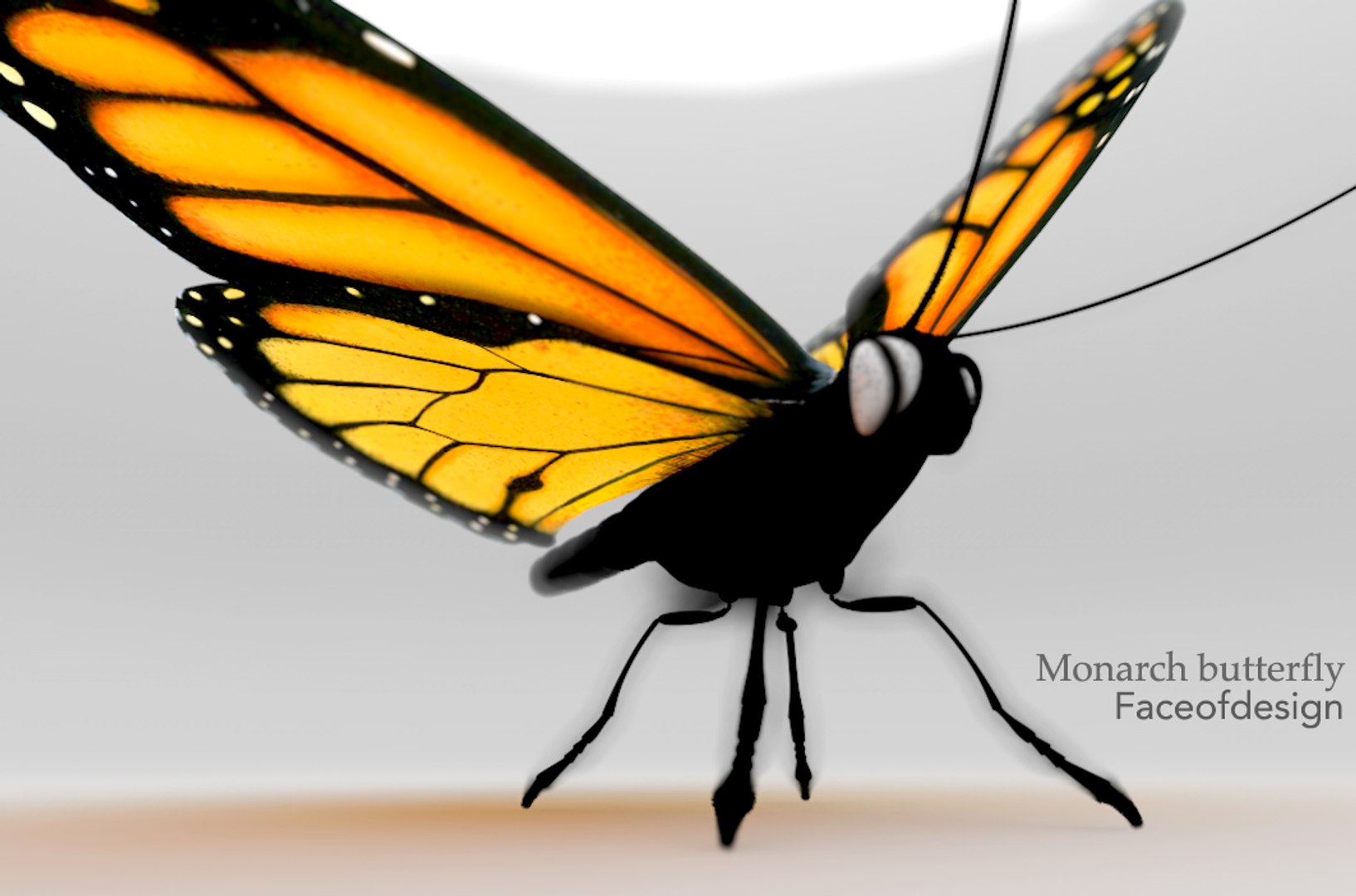 3d Model Monarch Butterfly