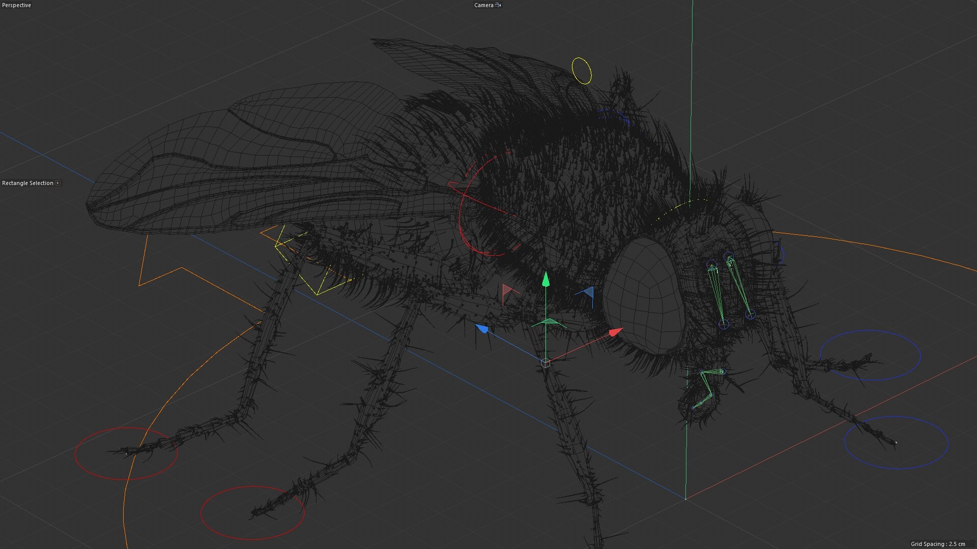 Housefly 3D Model - TurboSquid 2040860