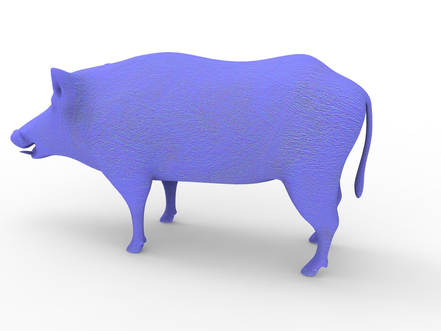Wild Boar Model - TurboSquid 1239614