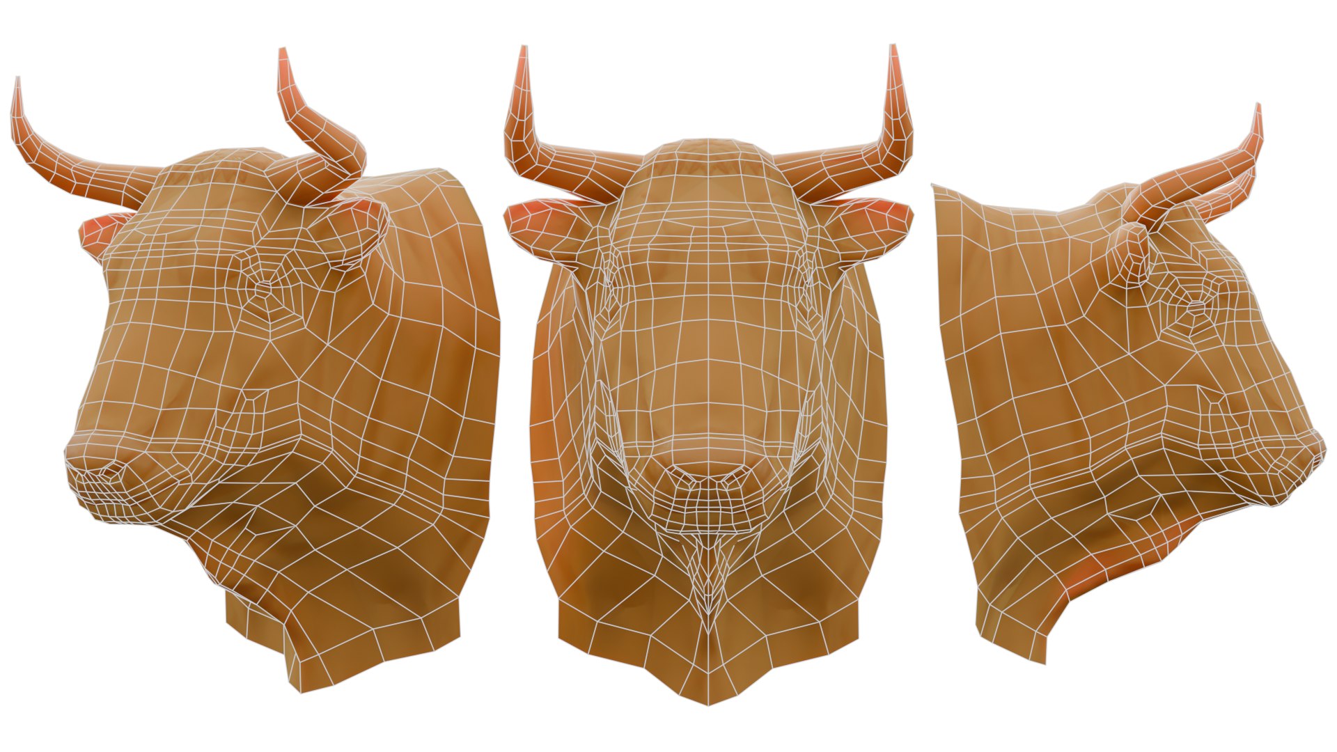3D Bull Head Wall Mount Hunting Trophy - TurboSquid 2283087