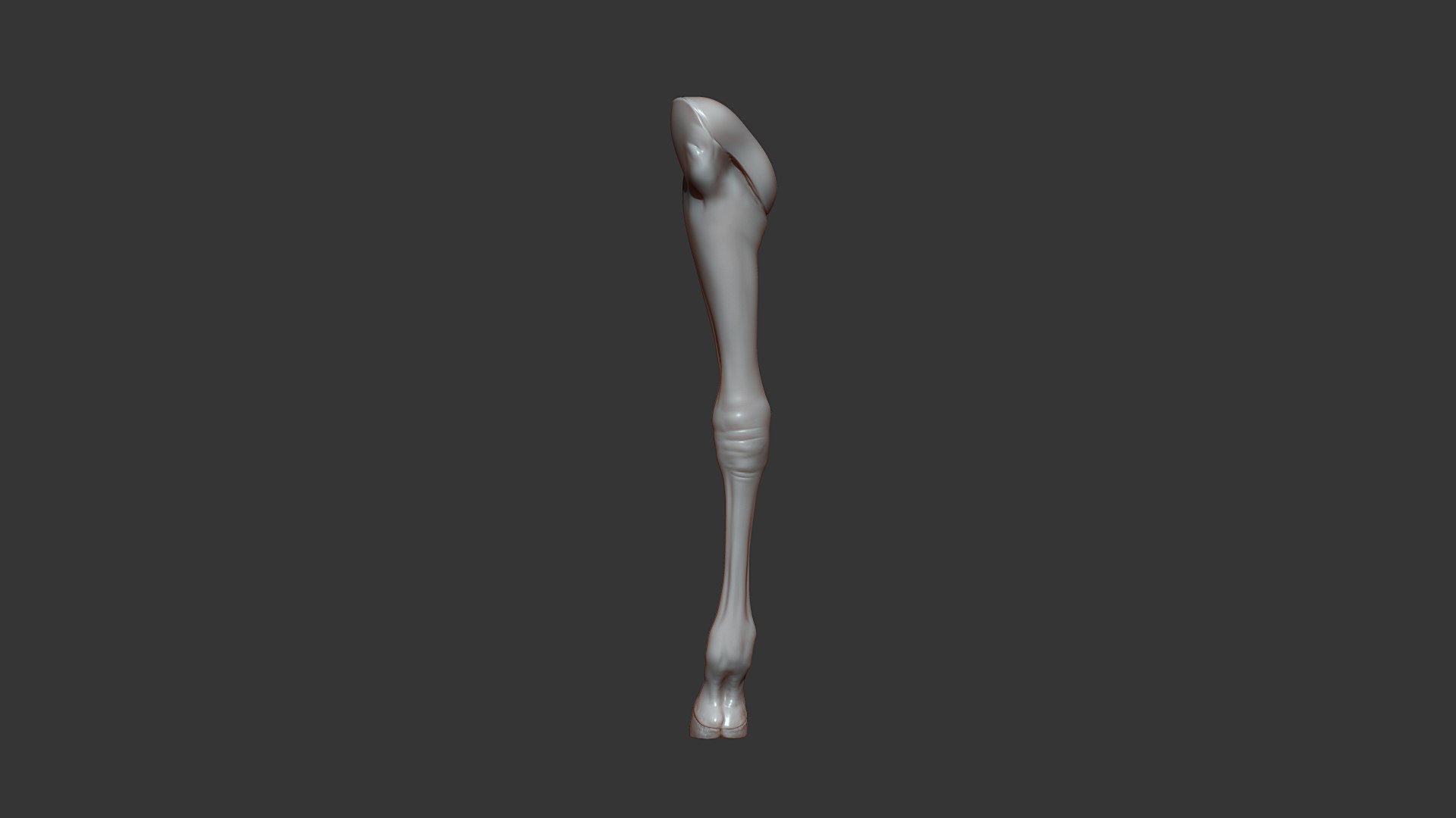 Giraffe Front Leg Highpoly Sculpt Model - TurboSquid 1813891