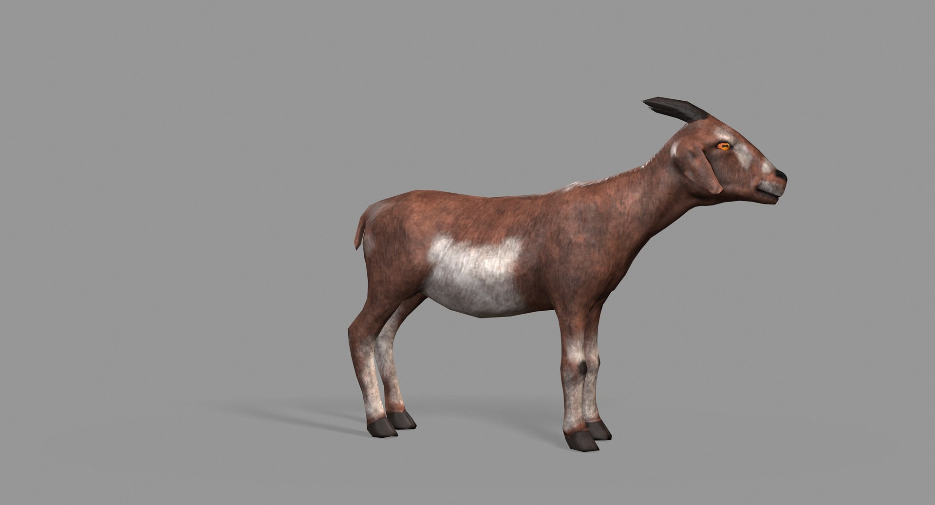 3D pbr goat - TurboSquid 1316270
