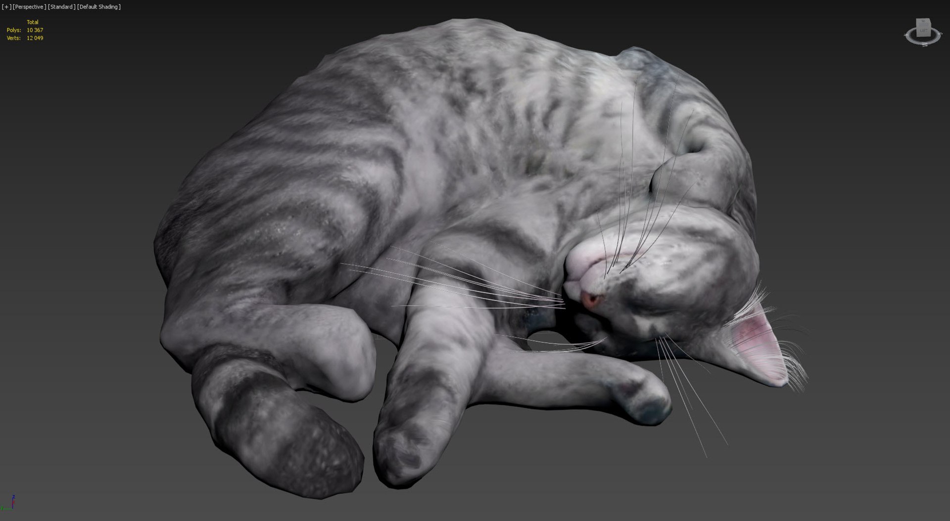 3D Cat Warm Model - TurboSquid 1367853