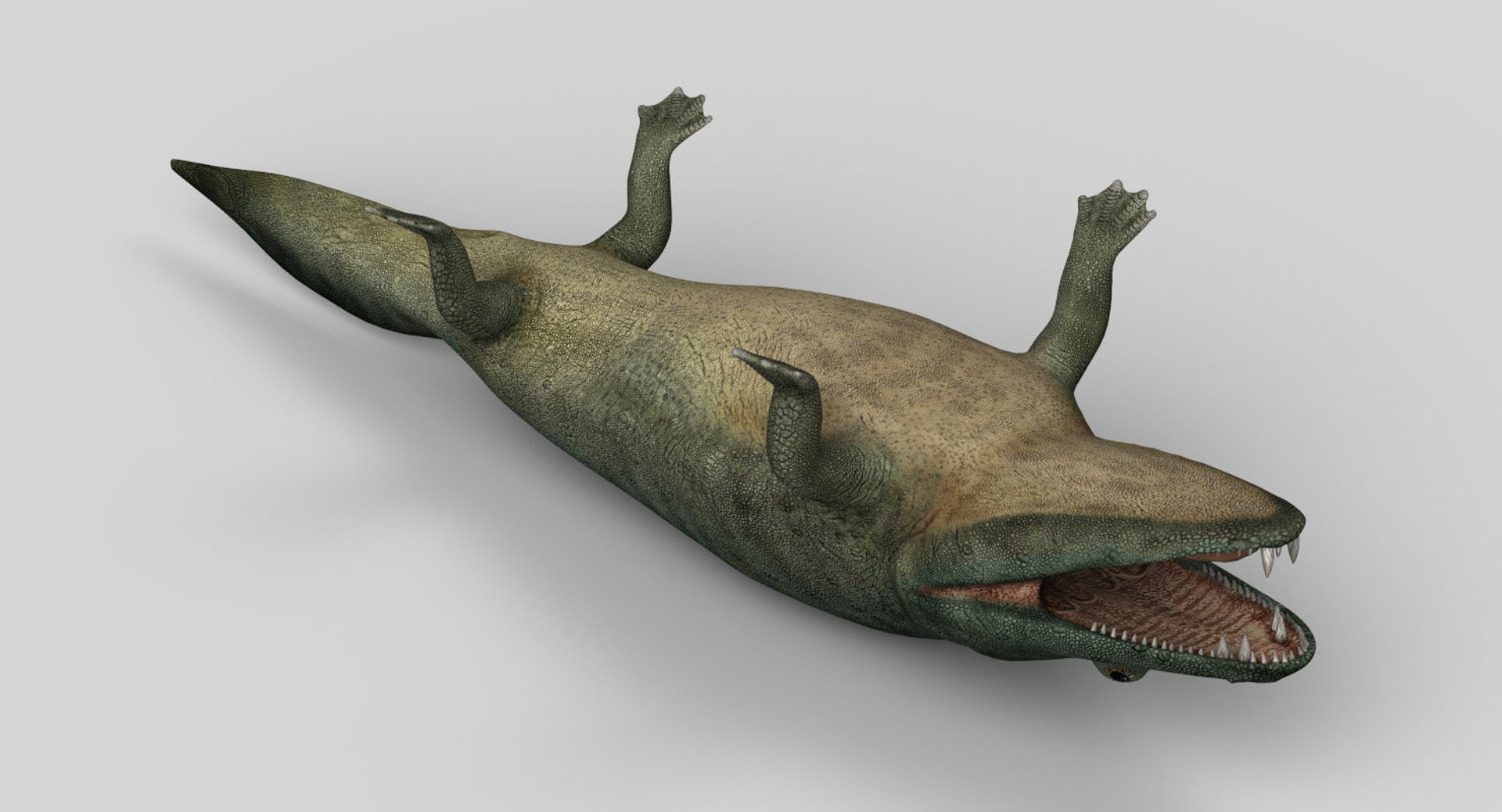 Mastodonsaurus 3D Model - TurboSquid 1358723