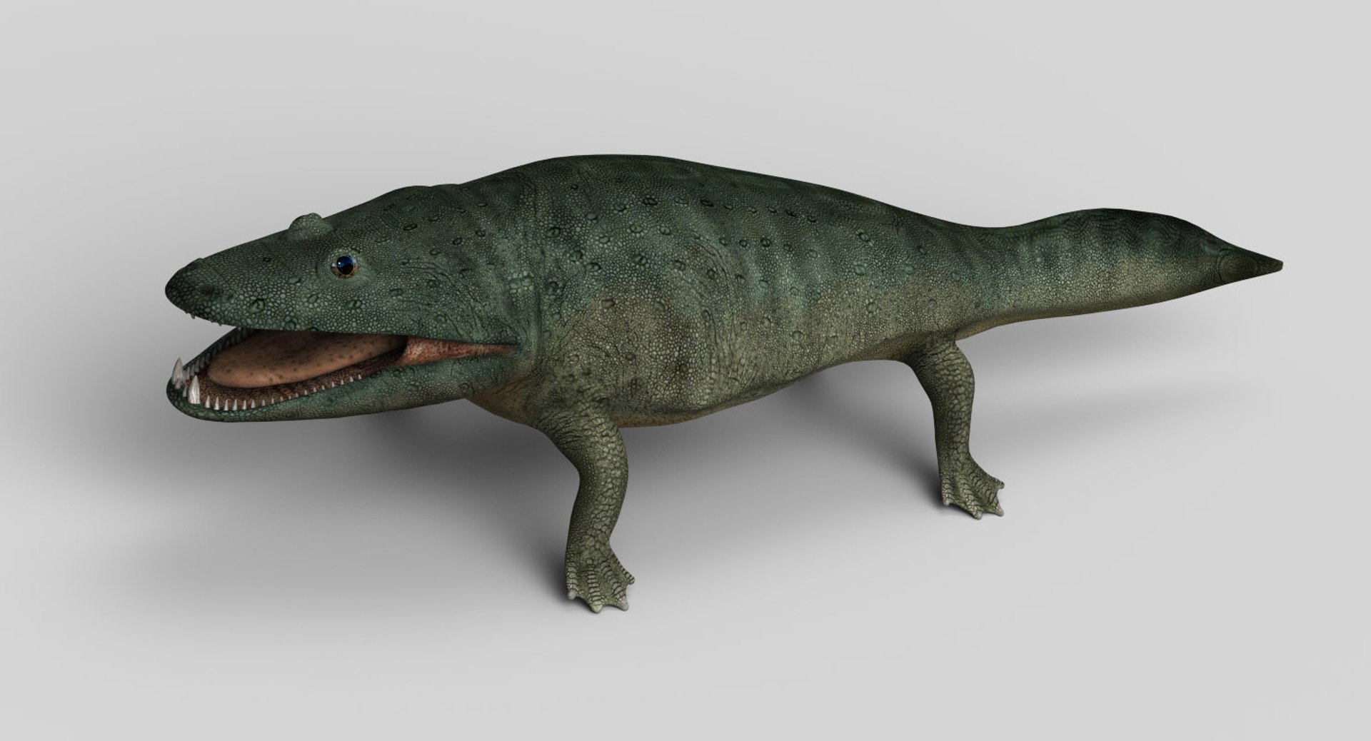 Mastodonsaurus 3D Model - TurboSquid 1358723