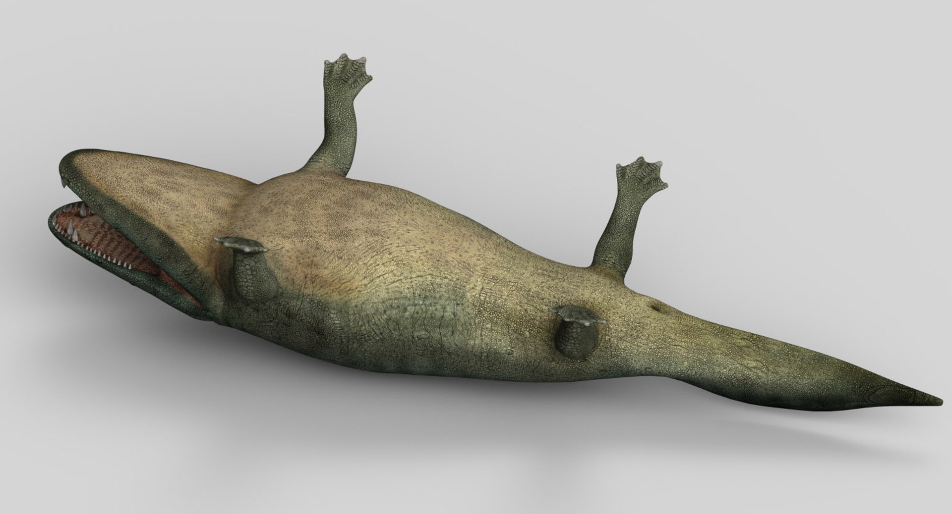 Mastodonsaurus 3D Model - TurboSquid 1358723