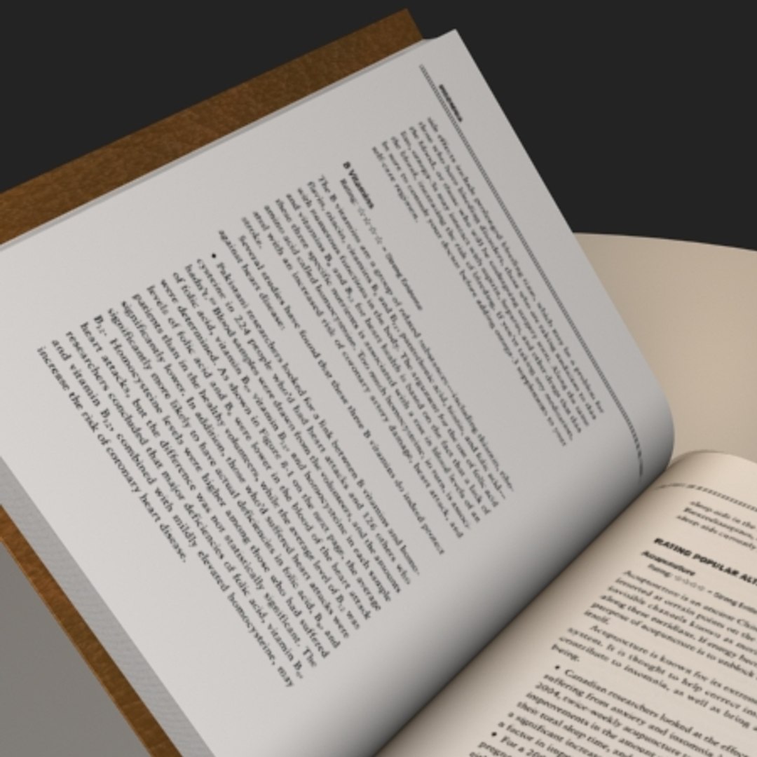 3d Max Book Position Pages