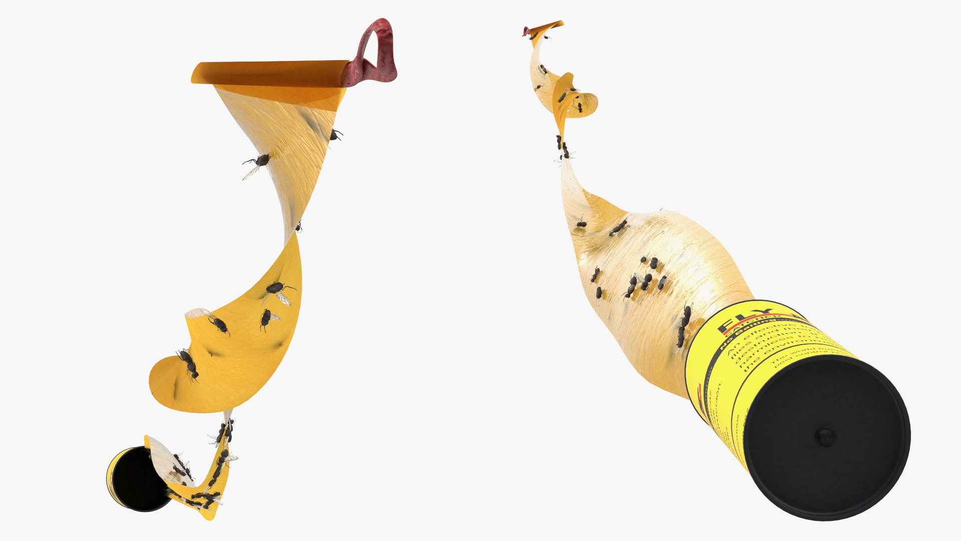 3D Fly Tape Paper Opened with Fly model - TurboSquid 2105601