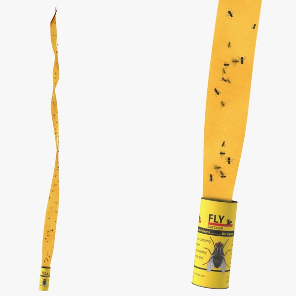 modelo 3d Fly Tape Paper Opened with Fly - TurboSquid 2105601