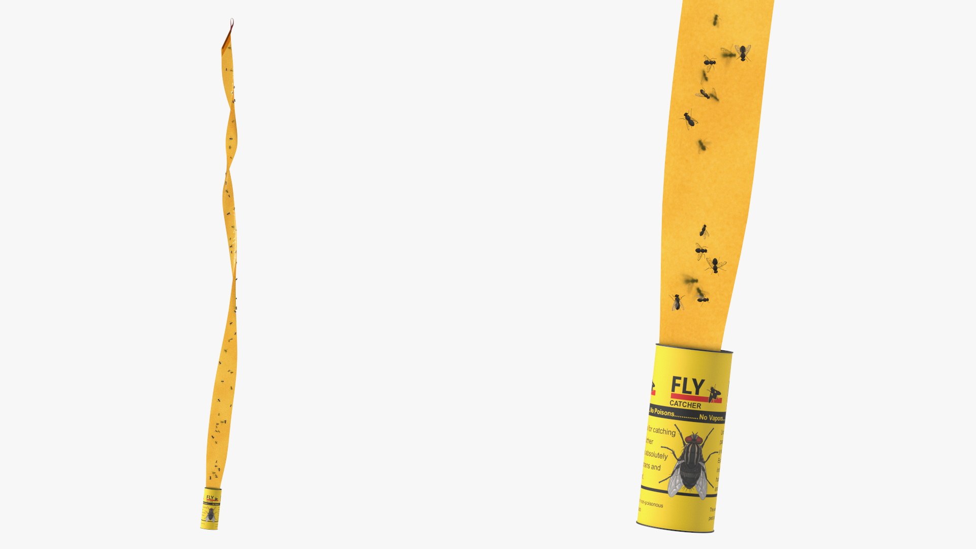 3D Fly Tape Paper Opened With Fly Model - TurboSquid 2105601